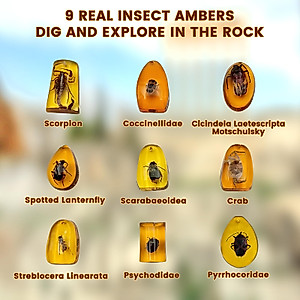 Amber Dig Kit - Excavate 9 Insects Specimens, Geology Science STEM Educational Bugs Toys for 6 7 8 9 10 11 12 Years Old Boys Girls, Gifts for Easter Christmas Birthday Halloween