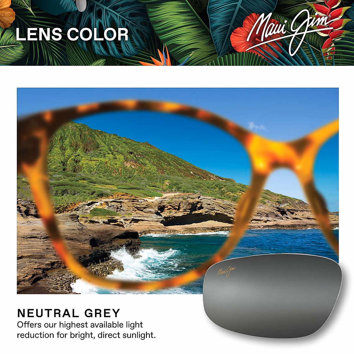 Maui Jim Maluhia Square Sunglasses, Shiny Trans Grass Green/Neutral Grey Polarized, Medium