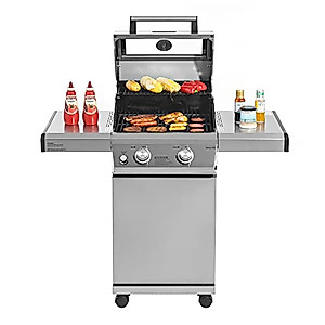 Monument Grills 14633 2-Burner Stainless Steel Liquid Propane Gas Grill with Clear View Lid, LED Controls Mesa 200