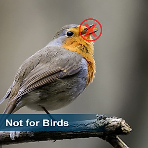 WORKPOINT 10LBS Black Soldier Fly Larvae for Chickens, 100% Natural Premium Quality Non-GMO, Treats for Poultry, Chickens, Ducks and Geese