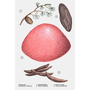 Zara Supreme Vanilla Perfume for Women EDP Eau De Parfum 30 ML (1.0 FL. OZ)