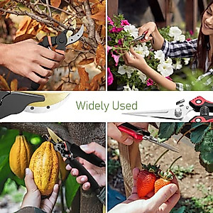 Pruning Shears for Gardening 2 Pack, Heavy Duty Professional Bypass Pruning Shears and Micro-tip Garden Scissors with Sharp Stainless Steel Blade, Garden Clippers for Rose, Plant, Tree, Garden Fifts