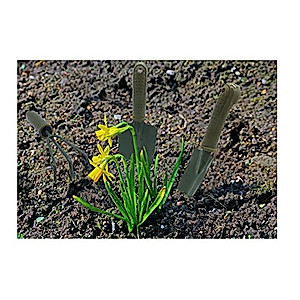 Ansellf Gardening Plant Shovel Pot 3 Pieces Small Gardening Tools Seed Handheld Shovel Rake Spade