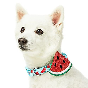 Blueberry Pet 2022 New Summer Sparkle Dog Collar, Adjustable Medium Size, Neck 14.5"-20", Zesty Fruit Watermelon Blue, Pet Collar with Detachable Accessory