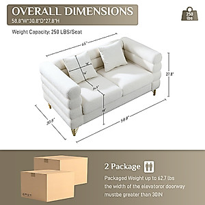 Wrofly Cloud Couch for Living Room, 59" Modern Overstuffed Deep Seat Boucle Sherpa Loveseat Sofa with 2 Pillows, Comfy Upholstered 2 Seater Love Seat for Bedroom Office, Beige White Teddy