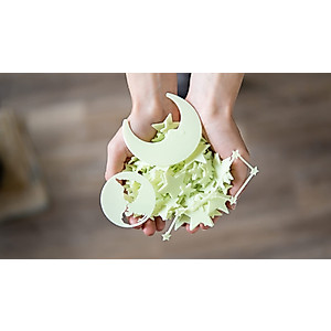 Green Sky Deluxe 200 Count Glow Stars; Glow in The Dark Stars for Ceiling, Ceiling Stars, Glowing Stars For Ceiling Include Bonus Moon (200 Stars)