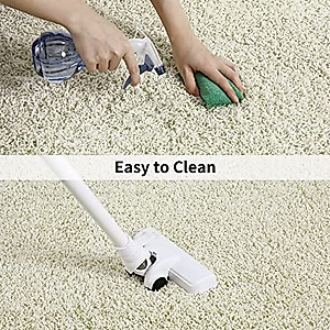 Zacoo Premium Shag Rug 8' x 10' for Bedroom Soft Non Slip Floor Carpet Plush Shaggy Area Rug Non Shedding Thick Carpet Rug Indoor Modern Accent Rug for Living Room Nursery Dorm, Cream White