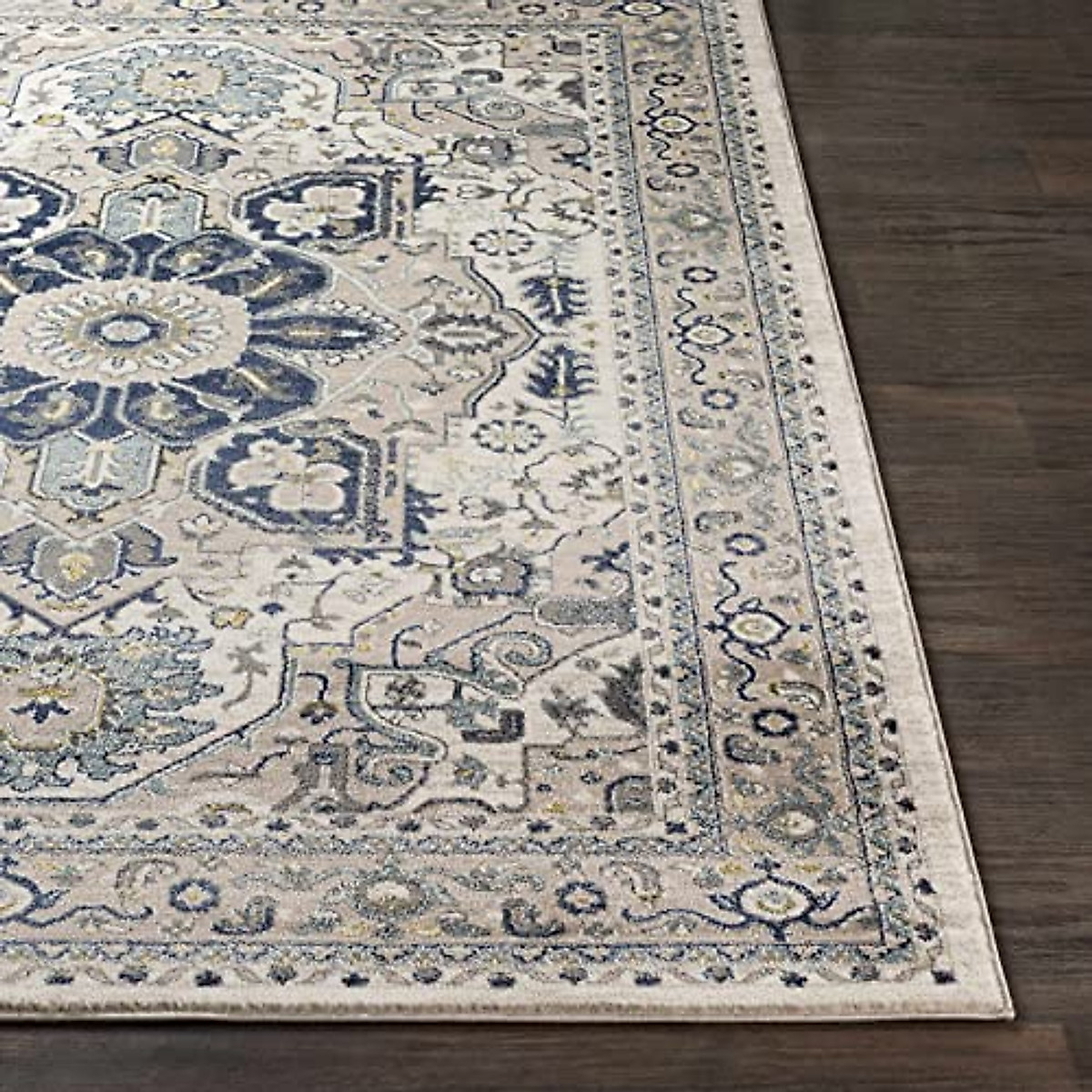 Canonsburg Traditional Persian Living Room Bedroom Area Rug - Bohemian Oriental Medallion Carpet - Blue, Grey, Beige, Brown - 7'10" x 10'2"