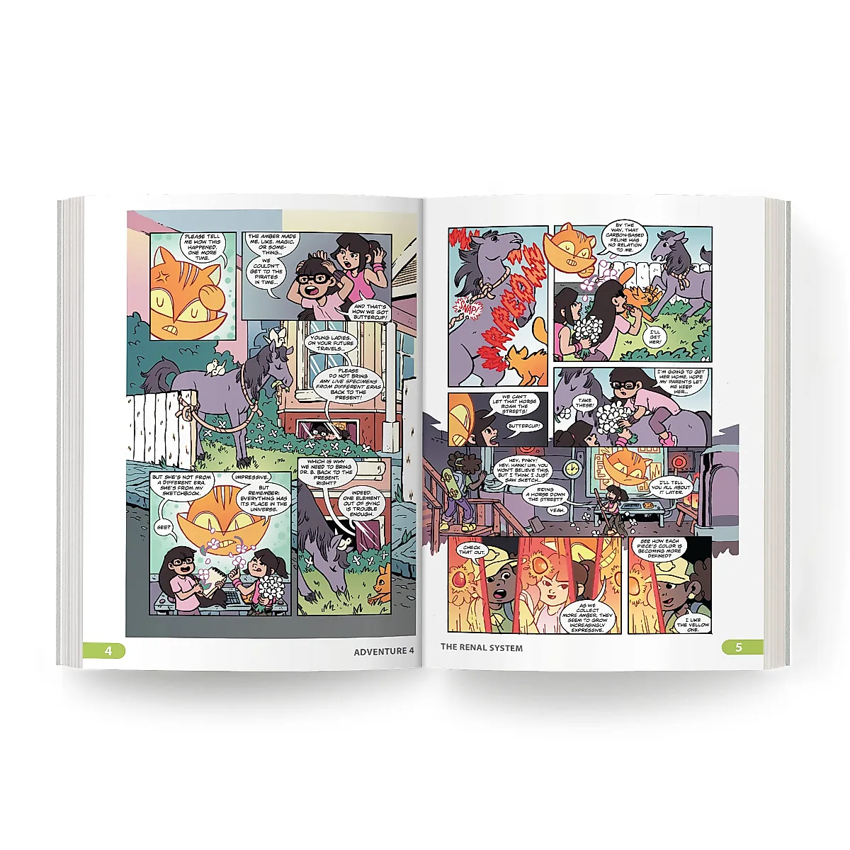 The Renal System: You've got to be Kidney - Adventure 4 (Systems of the Body)