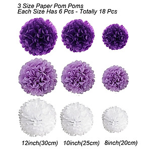 Tissue Paper Pom Poms, Recosis Paper Flower Ball for Birthday Party Wedding Baby Shower Bridal Shower Festival Decorations, 18 Pcs - Purple, Lavender and White