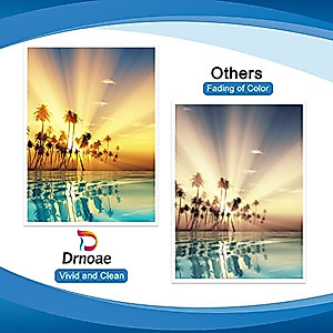 Drnoae LC3013 Ink Cartridges BK/C/M/Y, Compatible with Brother MFC-J895DW MFC-J497DW MFC-J491DW MFC-J690DW Ink Cartridges, 10 Pack