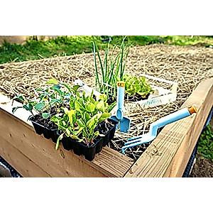 Organic Garden Straw (10lb) | Blue Mountain Hay | Straw Mulch for Raised Bed Gardens, Yard Landscaping, New Lawn Grass Seed Plantings, Tomato & Vegetable Compost & Fertilizer | Covers up to 150 sq ft