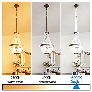 Marxlait 4 Pack G9 LED Bulb, 40 watt Halogen Replacement, Daylight White 6000K, Non-dimmable T4 LED Bulb, G9 Bi Pin Base, 120V Small Light Bulbs for Chandelier, Bathroom Vanity Light Fixture