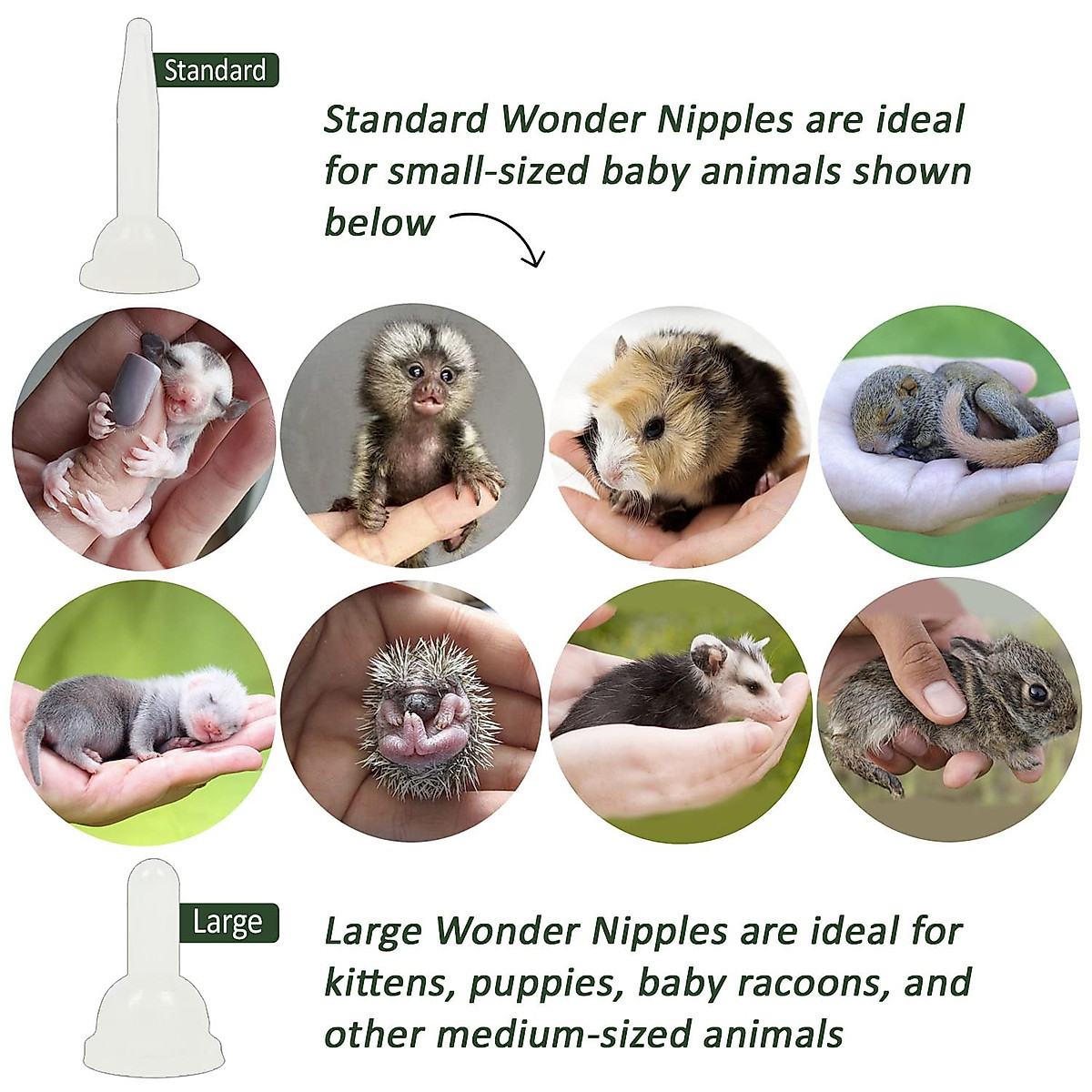 Wonder Nipple & Syringe Nursing Set - Small Animal Handfeeding Nursing Set - Great for Baby Squirrels, Rabbits, Racoons, Sugar Gliders, Hedgehogs, and Other Small Baby Mammals (Expanded)