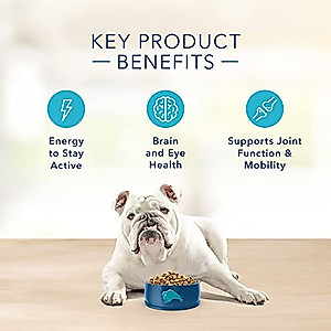 Blue Buffalo Basics Skin & Stomach Care, Natural Senior Dry Dog Food, Turkey & Potato 24-lb