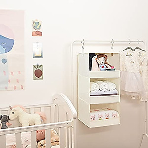 GRANNY SAYS Bundle of 2-Pack Storage Baskets with Lids Large & 1-Pack Hanging Closet Organizer