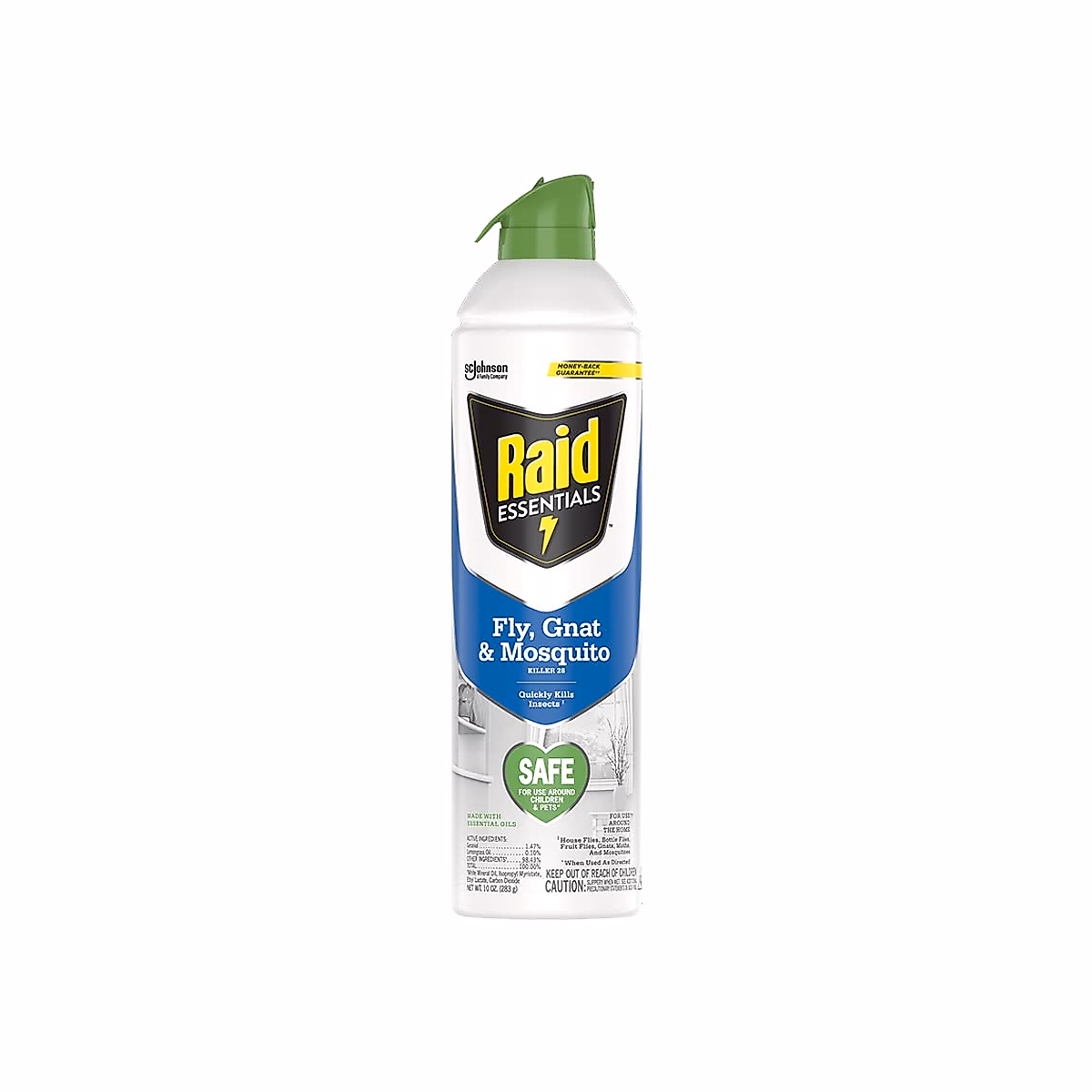 Raid Essentials Fly, Gnat, and Mosquito Killer Aerosol Spray, Safe for Use Around Children and Pets, 10 oz