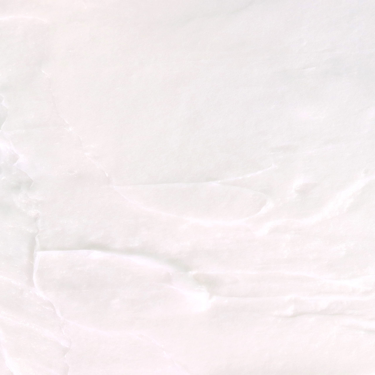 SpaLife Green Tea and Honey Repairing Hair Mask 10 count