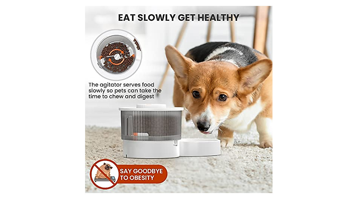 DOG CARE 4-Cup Automatic Slow Feeder for Pets