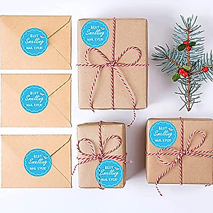 Best Smelling Mail Ever Sticker 1.5 Inch Happy Mail Envelope Labels - Decorative Sealing Labels 500Pcs Happy Mail Stickers for Christmas Gifts,Small Business,Package,Boutique Shipping Supplies