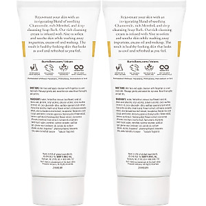 Burt's Bees Soap Bark and Chamomile Deep Cleansing Cream, 6 ounce pack of 2