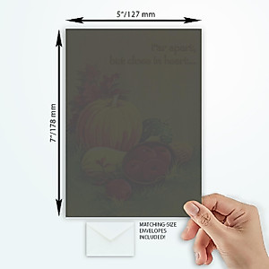 Wright Home & Gift Changing Fashions Best Friend Womens Birthday Greeting Cards | 3 Pack Set + 3 Envelopes (5X7)