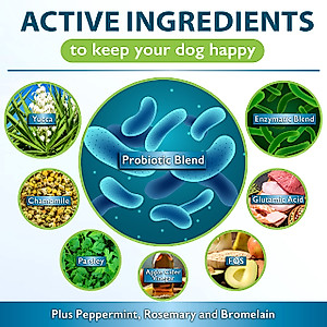 Nutrition Strength Coprophagia Stool Eating Deterrent for Dogs + Breath Aid, Extra Strength to Deter Dog Poop Eating, Probiotics & Digestive Enzymes for Gut Health & Immune Support, 30 Soft Chews