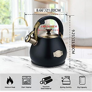 Tea Kettle Stovetop Whistling Kettle Teapot, 3Quart Tea Pot Stainless Steel Teakettle for Stove Top with Heat Proof Ergonomic Handle