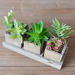 Set of 3 Fake Succulents Plants, Artificial Succulents with Rustic Style Wood Square Pots & Rectangular Tray, Desktop herb Garden Mini Faux Succulents for Home Décor