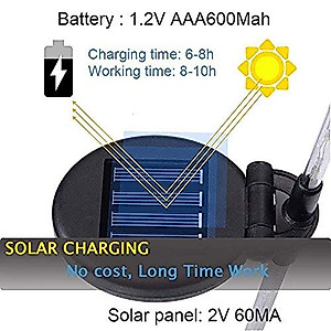 KANYEE Garden Outdoor Solar Lights Decorative Landscape Light Waterproof Simulation Rose Flower LED Stake Path Lights Yard Patio Lawn Night Lighting 4PCS