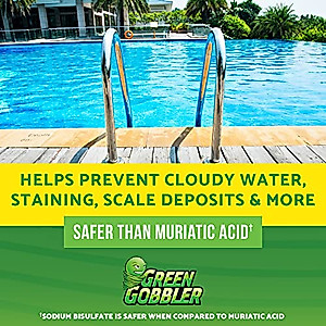 Green Gobbler pH Down | Pool & Hot Tub Spa pH Reducer | pH decreaser | Sodium Bisulfate | 25 lb Pail