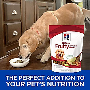Hill's Natural Dog Treats Crunchy Fruity Snacks with Apples & Oatmeal, Healthy Dog Snacks, 8 oz. Bag