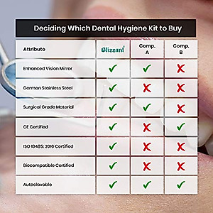 Dental Tools by Blizzard - Plaque Tartar Remover for Teeth - Professional Dental Hygiene Cleaning Kit 4-Pcs, German Stainless Steel Oral Care Set with Dental Pick, Mouth Mirror, Travel Case