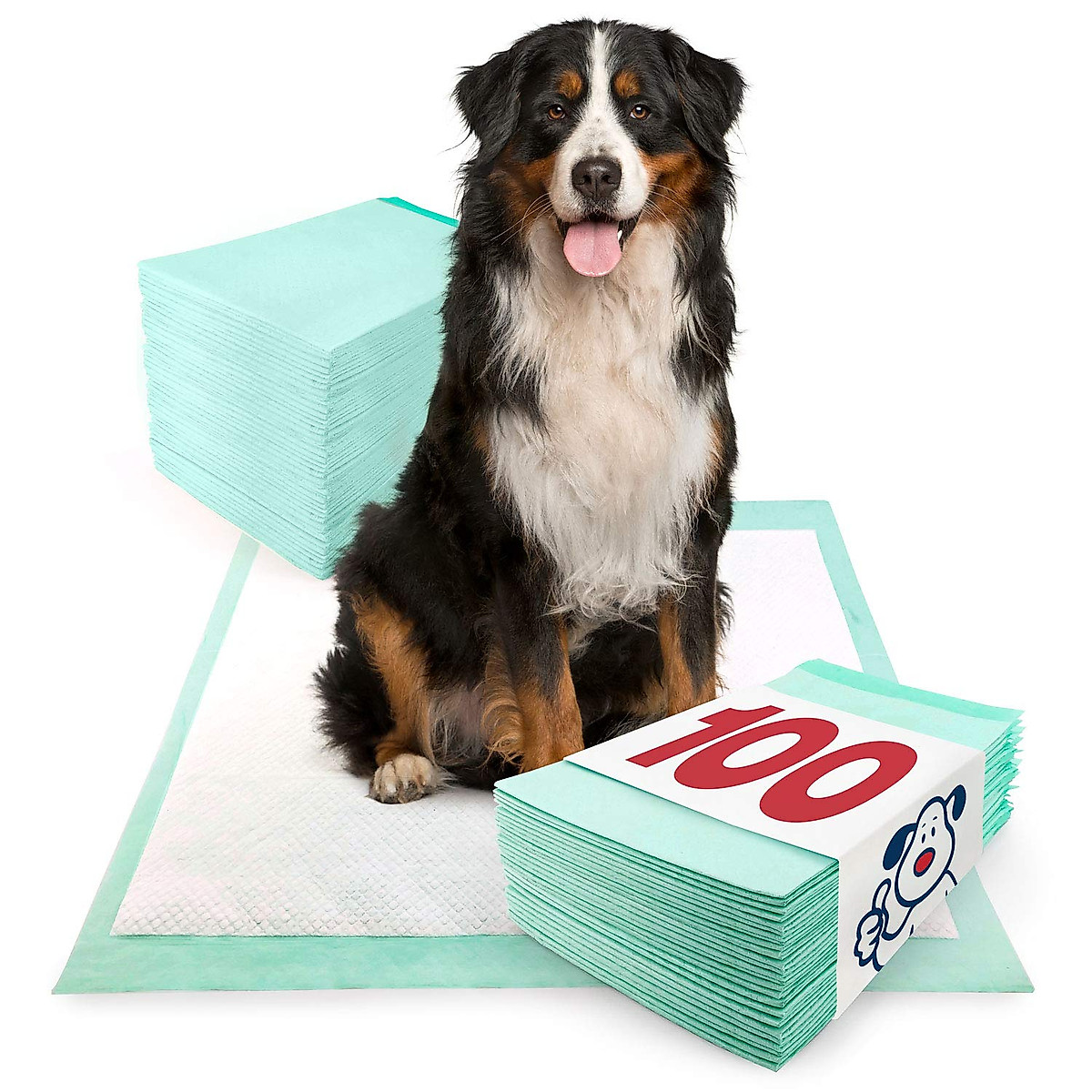 ValuePad Plus Puppy Pads, Extra Large 28x36 Inch, 100 Count - Premium Pee Pads for Dogs, Tear Resistant, Super Absorbent Polymer Gel Core, 5-Layer Design