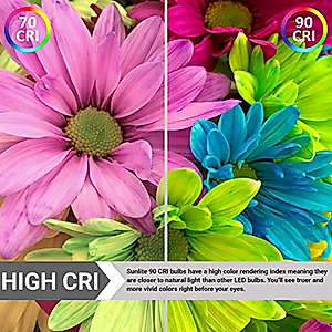 Sunlite 41696 LED G25 Edison Globe Light Bulb, 8.5 Watts (100W=), Medium E26 Base, 800 Lumens, Dimmable, Clear Glass, Antique Long Filament, 90 CRI, Title-20 Compliant, 2700K Soft White, 4 Count