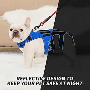 Uzhika Dog Back Brace for IVDD Dogs Arthritis, Spinal Injury, Back Protector Pain Relief, Spinal Surgical Recovery and Rehabilitation - Pet Back Bracer (X-Small)