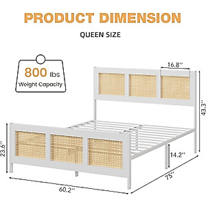 GarveeHome Queen Size Rattan Bed Frame with Headboard, White Boho Cane Platform Bed Frame with Strong Metal Slat, Noise Free, No Box Spring Needed