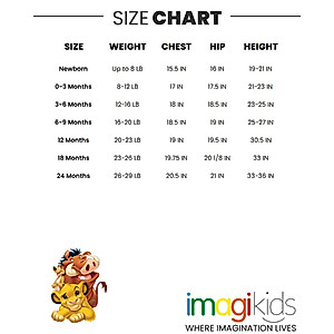 Disney Lion King Pumbaa Timon Simba Infant Baby Boys Bodysuit Pants and Hat 3 Piece Outfit Set Gray/Green 12 Months