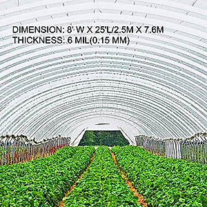 Happybuy Greenhouse Film 8 x 25 ft, Greenhouse Polyethylene Film 6 Mil, Clear Greenhouse Plastic Greenhouse Plastic Film UV Resistant, Polyethylene Film to Keep Warming, Superior Strength