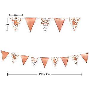 40Ft Rose Gold 16th Happy Birthday Banner Bunting Triangle Flag Pennant Garland for 16th Birthday Decorations Sweet 16 Decor Hanging 16th Birthday Streamer Sign for Girls Sweet Sixteen Party Supplies