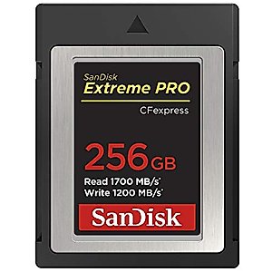 SanDisk 256GB Extreme PRO CFexpress Card Type B - SDCFE-256G-GN4NN