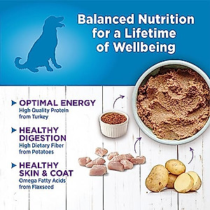 Wellness Simple Natural Wet Canned Limited Ingredient Dog Food, Turkey & Potato, 12.5-Ounce Can (Pack of 12)