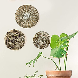 Farmhouse Room Decor Basket- Set of 3 Wall Hanging Seagrass Shallow Basket - Handwoven Southwestern Decorative Tobacco Baskets (Rustic Mix)