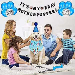 Dog Birthday Party Supplies Dog Birthday Decorations Lets Pawty Balloons Banner Dog Birthday Bandana toy Dog Birthday Boy Hat Scarfs Balloon with Cute Doggie Decorations