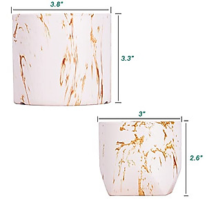 ARTKETTY Succulent Pots with Drainage, 8 Pcs Succulent Planters Pots with Bamboo Trays, Small Marble Cactus Planter Ceramic Flower Bonsai Pots for Indoor/Outdoor Decorative Garden Home Office