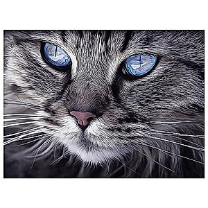 cat with Blue Eyes Stamped Cross Stitch Kits pet cat Adults Beginners Counted Cross Stitch Kits Needlecrafts for Home Wall Decor Cross Stitch Patterns/12x16 inch
