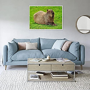 Ddfghei Capybara In The Grass Cute Animal Poster Print Art Picture 9231 Canvas Prints Poster Wall Art For Home Office Decorations Unframed 18"x12"