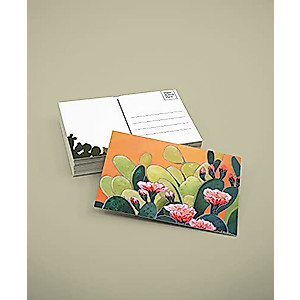 Stonehouse Collection Cactus Postcards - 4 x 6 Western Desert Postcards - 40 Postcards, 4 Different Cacuts Designs
