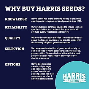 Geranium Seeds - Maverick Star F1 Hybrid Non-GMO Seeds - White and Rose Colored Flowers - 100 Flower Seeds- Drought Tolerant Flower Seeds