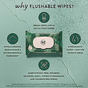 The Honest Company Plant-Based Flushable Wipes | 99% Water, Hypoallergenic, EWG Verified, Safe to Flush | Fragrance Free, 42 Count